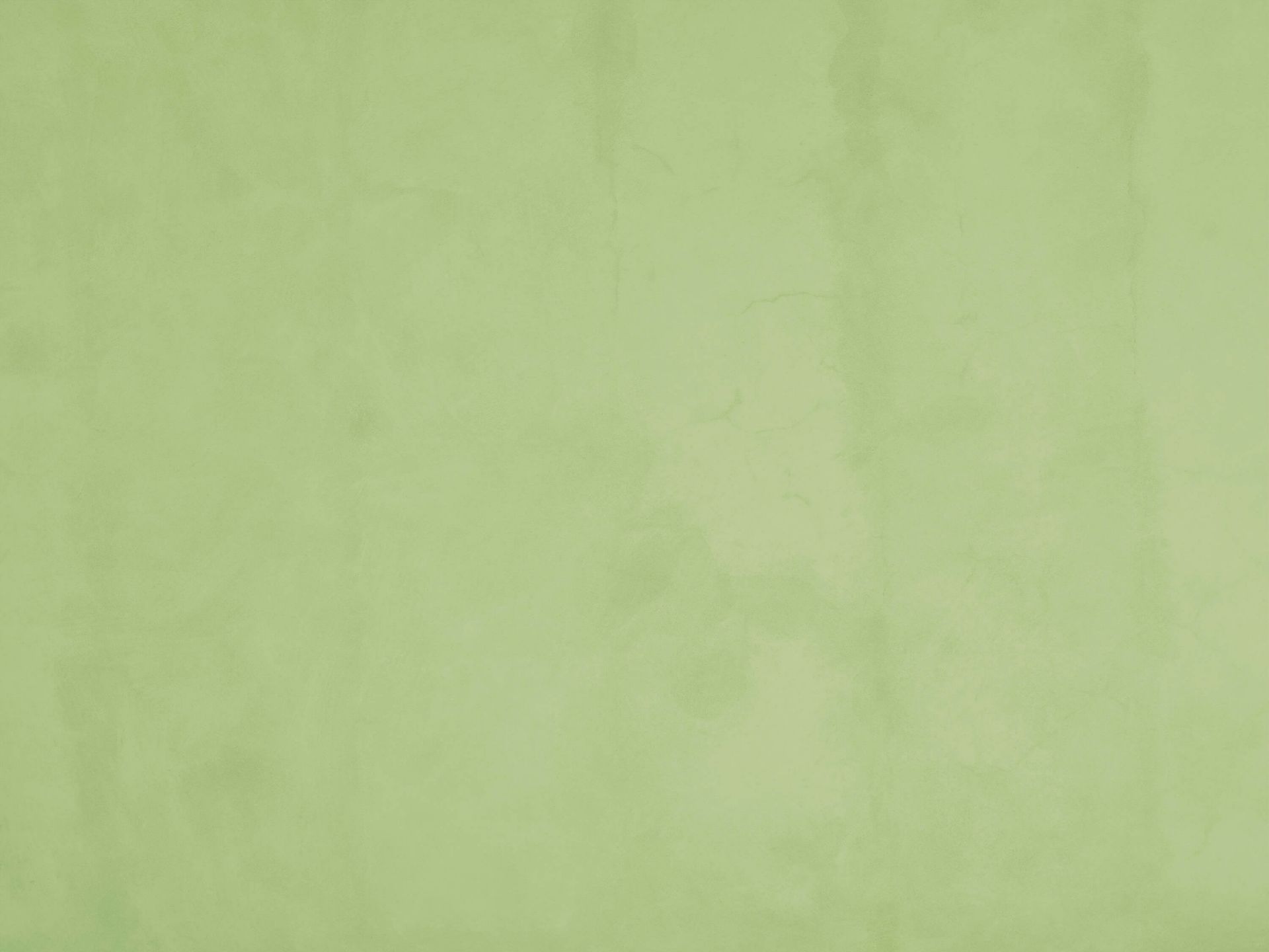 Papier Peint Couleur - Béton vert sauge