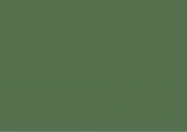 Papier Peint Panoramique Vert fougère